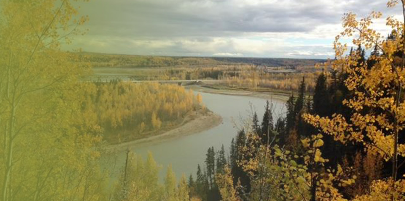 Drayton Valley Respect for Life - Life Canada